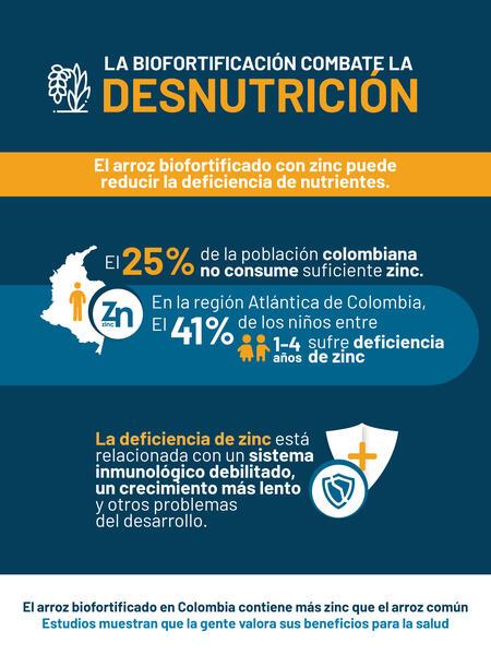 El arroz biofortificado de Colombia tiene un potencial