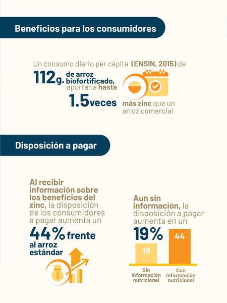 El arroz biofortificado de Colombia tiene un potencial