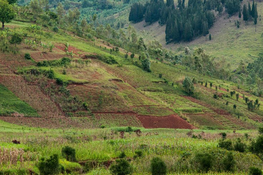 Projects and Flagship Initiatives in Burundi