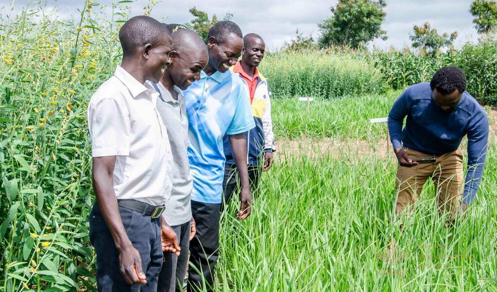 Projects and Flagship Initiatives in Malawi