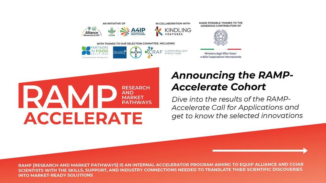 Discover the Selected Innovations of RAMP-Accelerate | Alliance ...