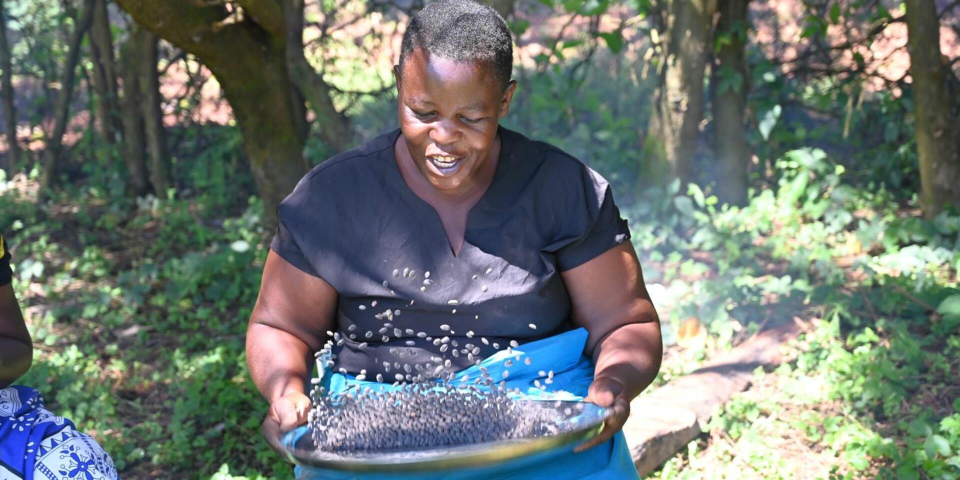 Bean breakthrough to enhance nutrition in Africa