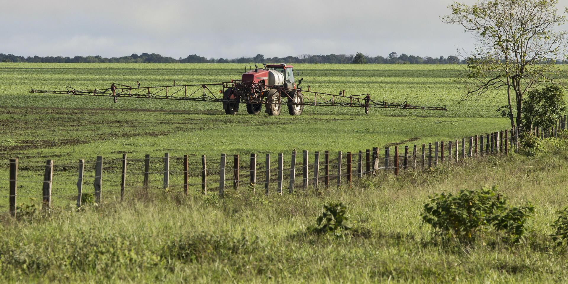 Exploring the effects of the green revolution on agriculture