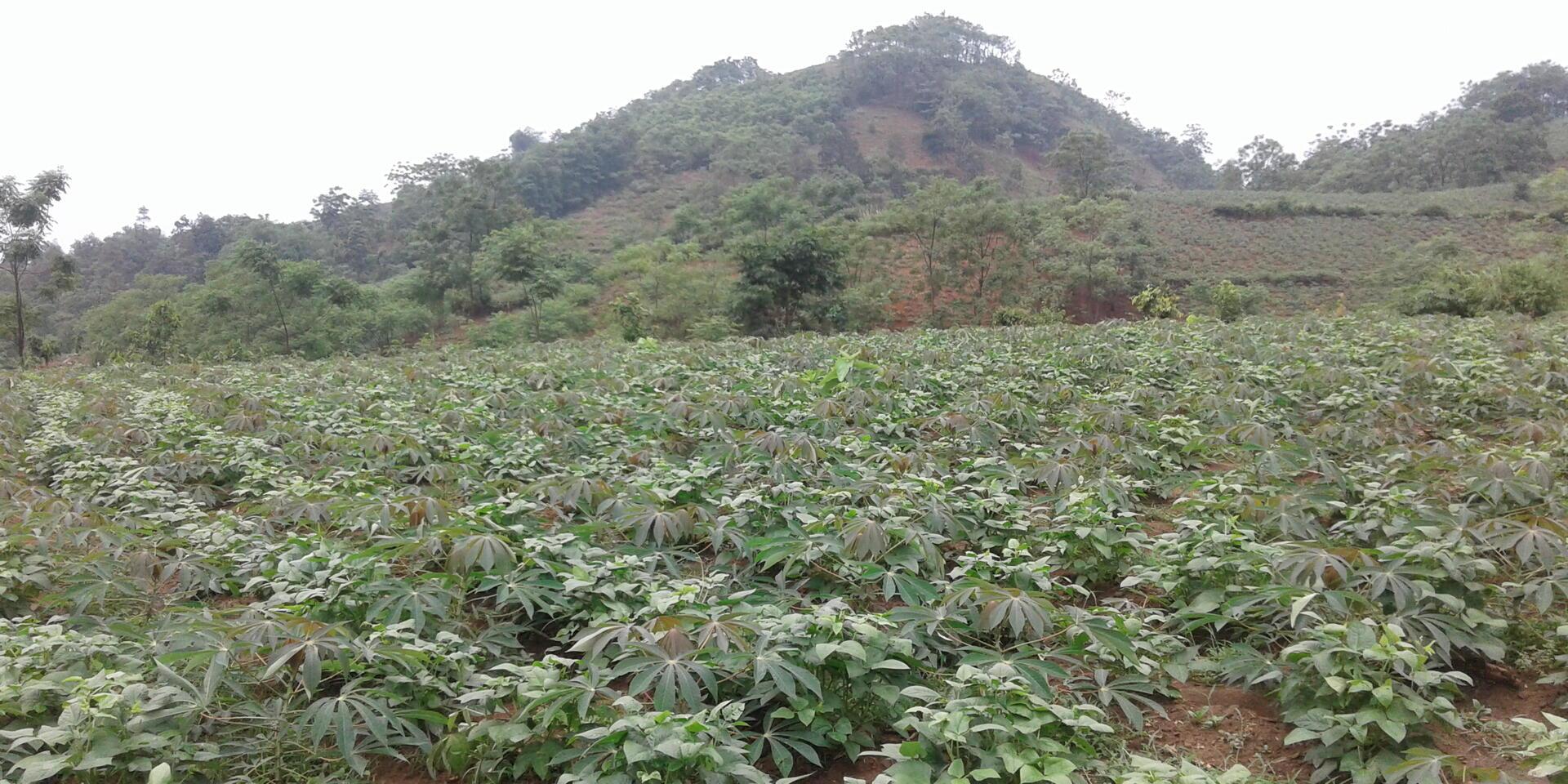 environmental biotechnology network