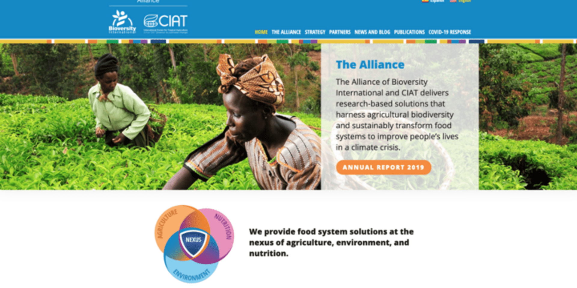 We're moving: Visit the Alliance's new website