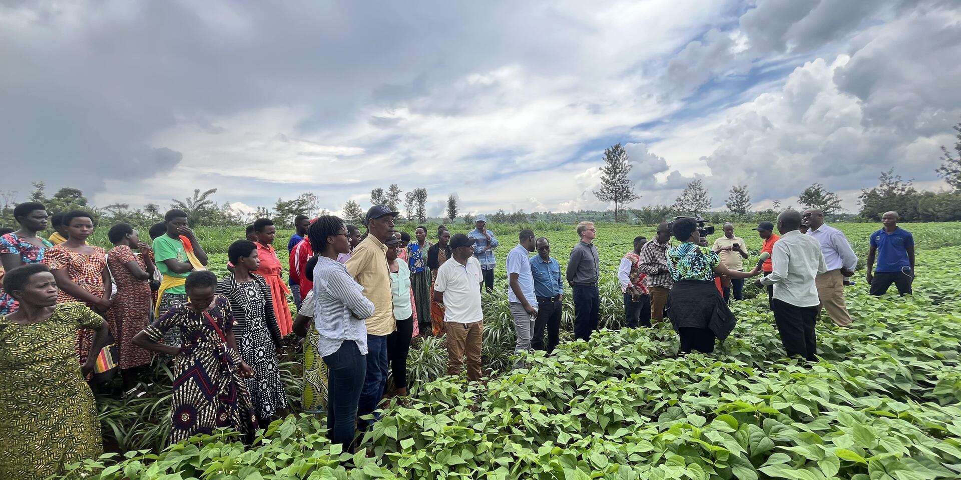 Smart Farming with Weather and Climate Information