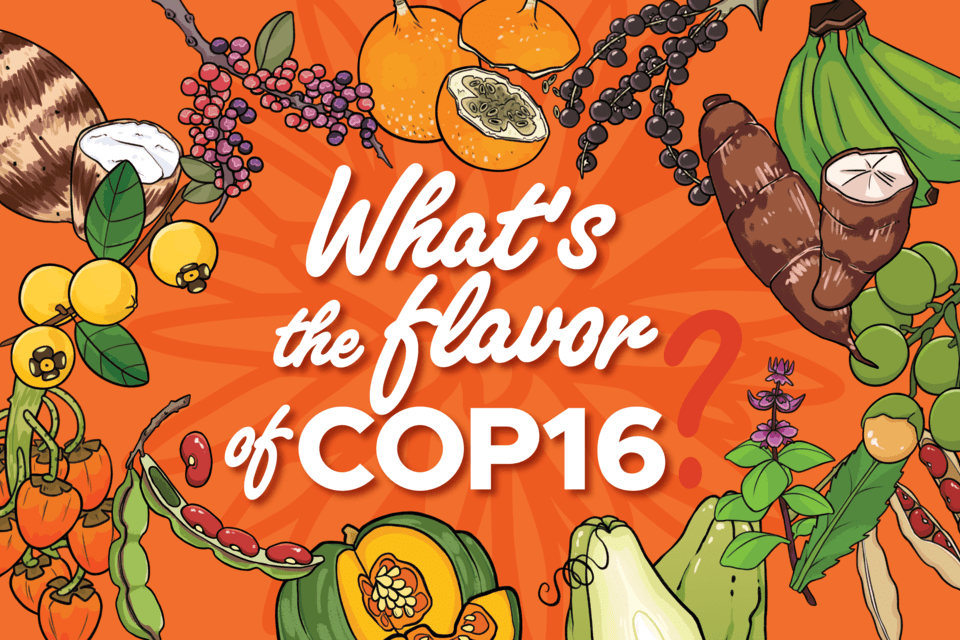 The Flavor of COP16 | Alliance Bioversity International - CIAT