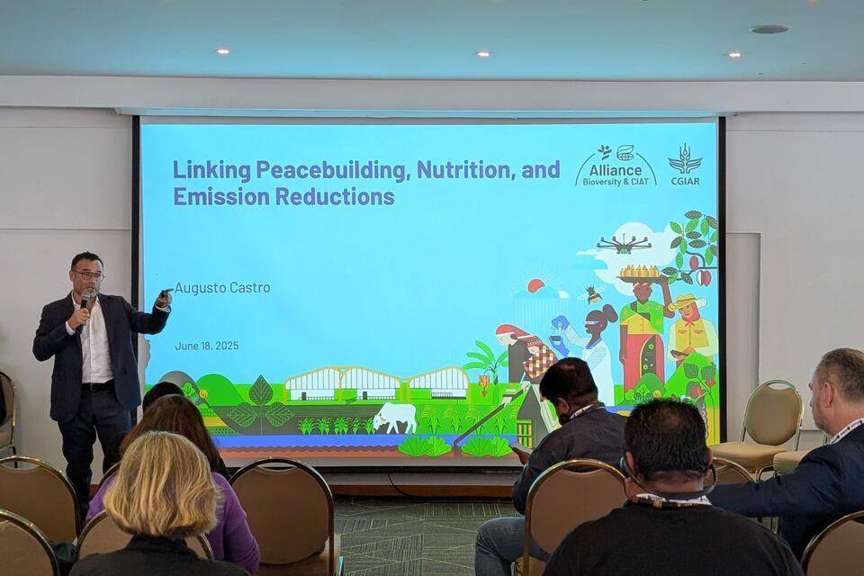 Colombia | Alianza Bioversity International - CIAT