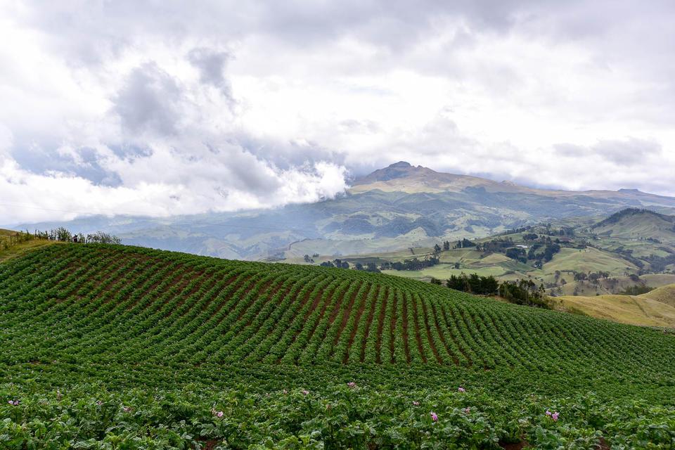 Colombia: Projects & Initiatives | Alliance Bioversity International - CIAT