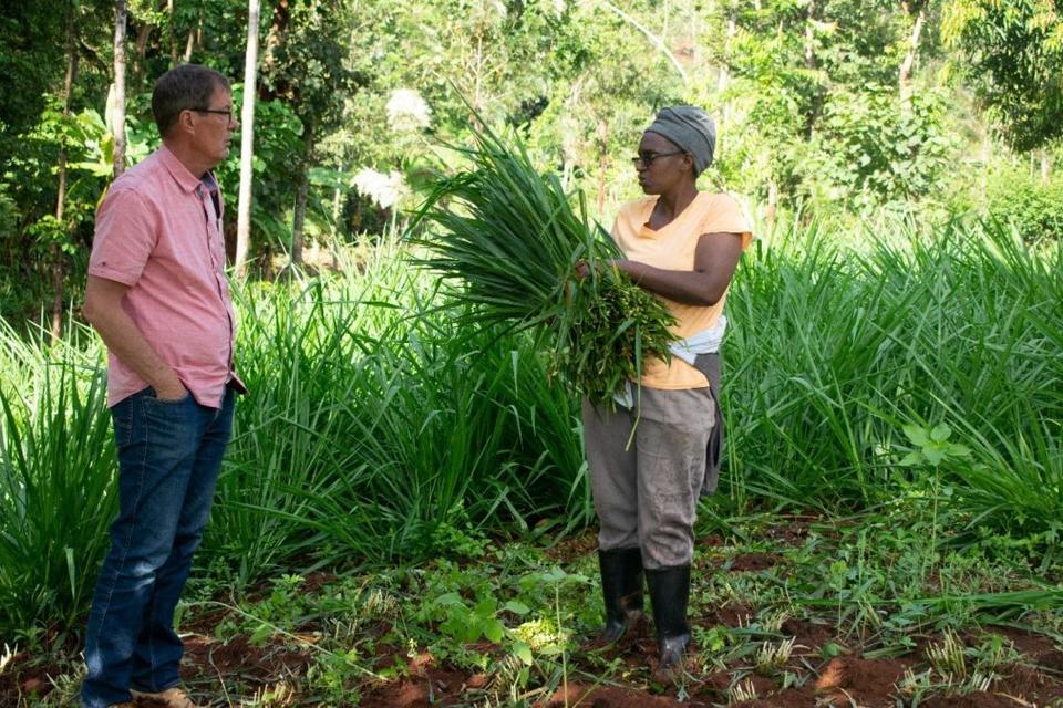 Grass transforms farmers’ fortune