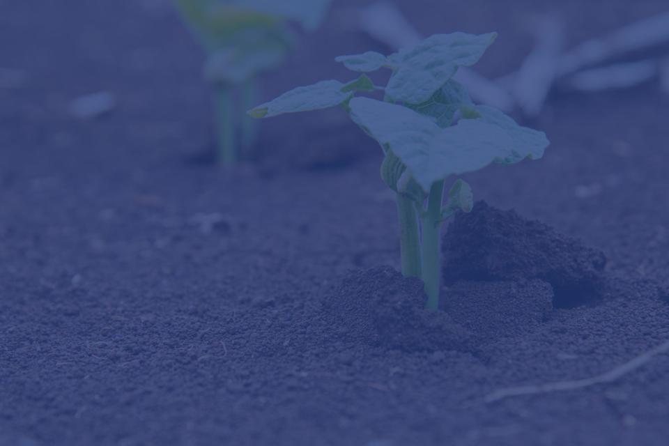 Annual Reports | Alliance Bioversity International - CIAT