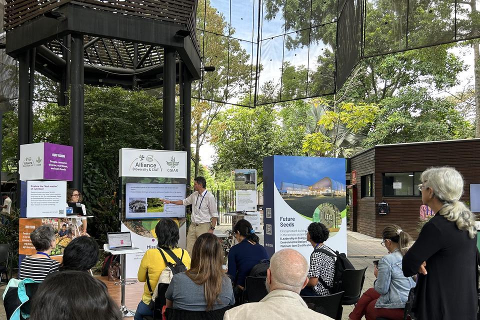 Media & Press | Alliance Bioversity International - CIAT
