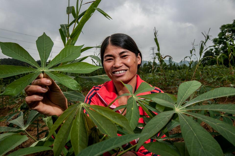 Home page | Alliance Bioversity International - CIAT